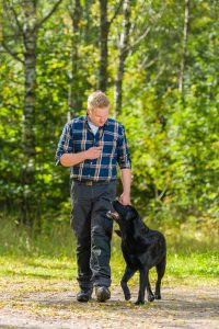 28 Ultimate Dog Training Commands List (Common to Advanced!)