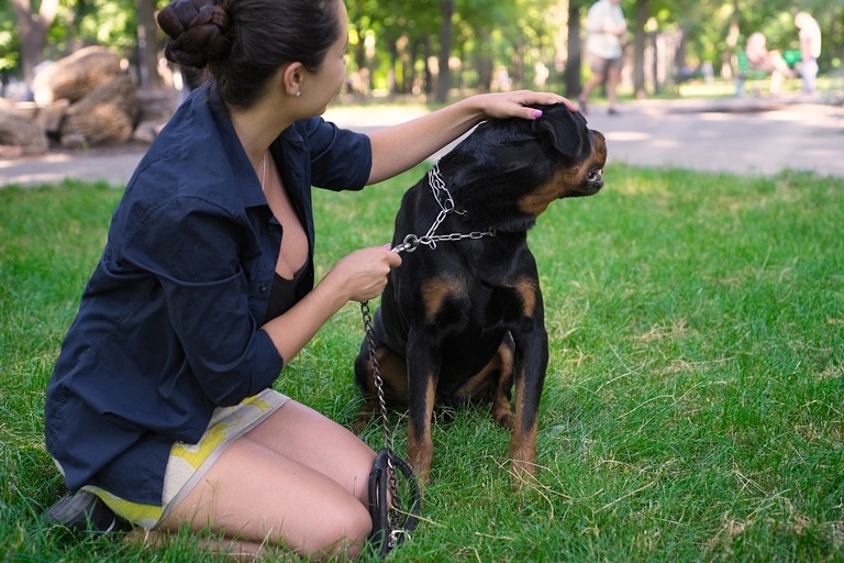 How to Calm an Aggressive Dog (Top Aggression Training Tips)