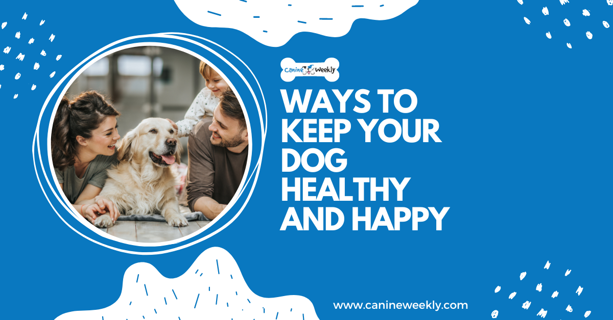 12 Ways to Keep Your Dog Healthy and Happy | Canine Weekly