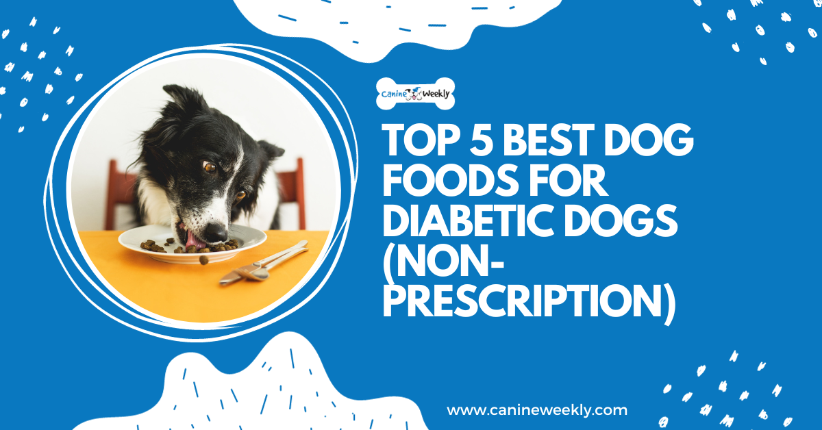 Top 5 Best Dog Foods for Diabetic Dogs (Non-Prescription)