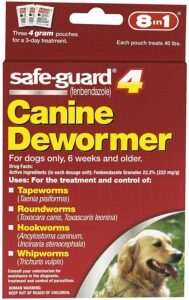 Deworming Puppies: What to Expect After, How and When to Worm