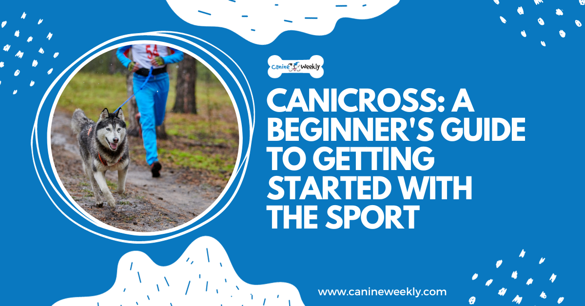 Canicross 101: Everything You Need to Know to Get Started