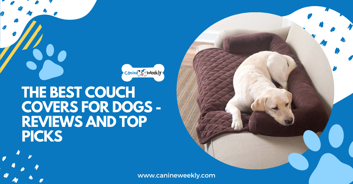 The 10 Best Couch Covers for Dogs - Reviews and Top Picks