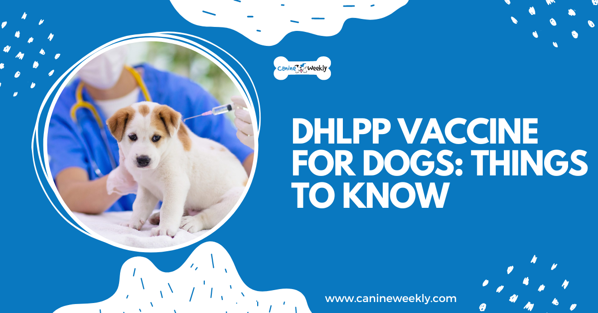 What Is Dhlpp Booster For Dogs