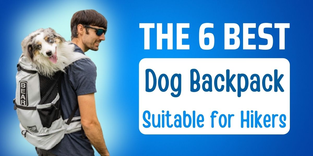 6 Best Dog Backpack Suitable for Hikers - CanineWeekly.com