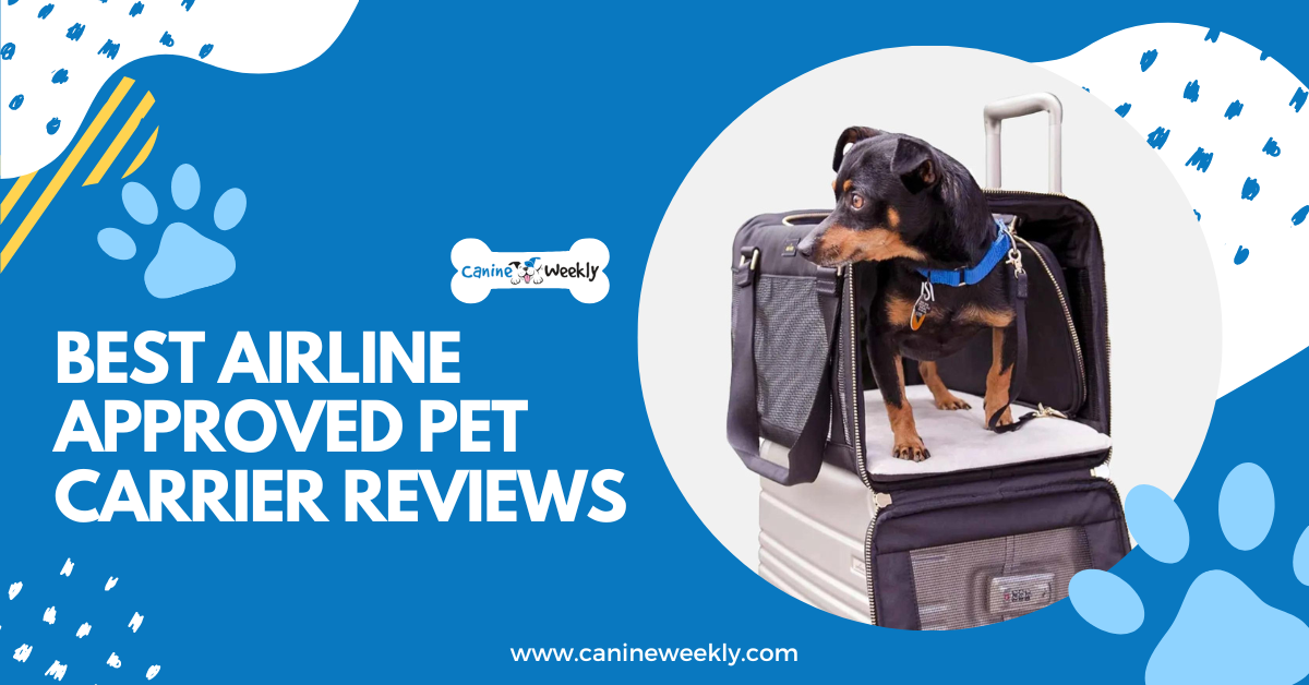 10 Best Airline Approved Pet Carrier Reviews - CanineWeekly.com