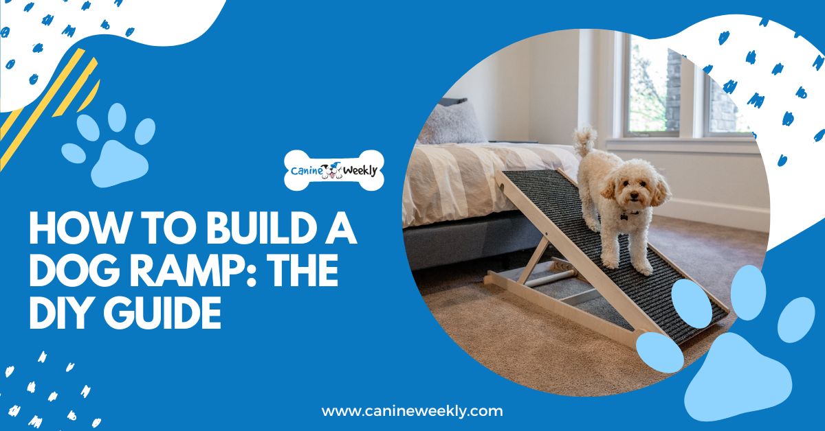 How to Build a Dog Ramp: The DIY Guide