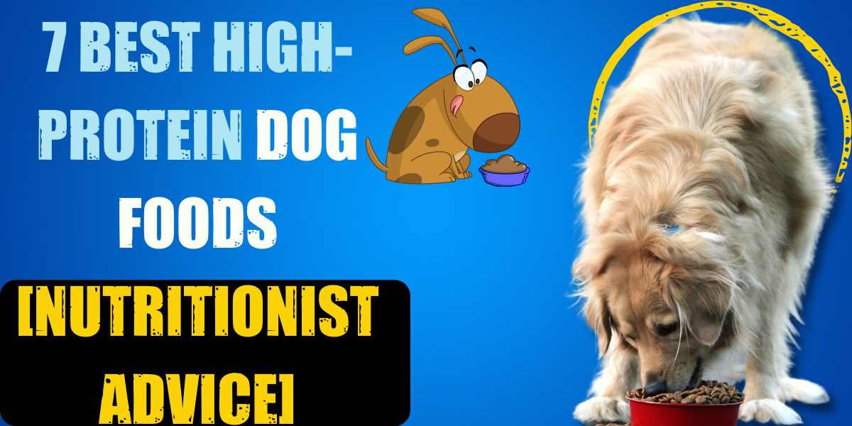 7 Best High-Protein Dog Foods [Nutritionist Advice for 2022]