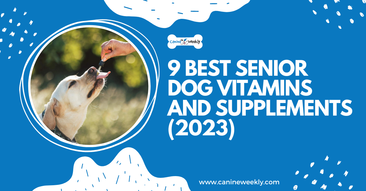 9 Best Senior Dog Vitamins and Supplements (2023) - Canine Weekly