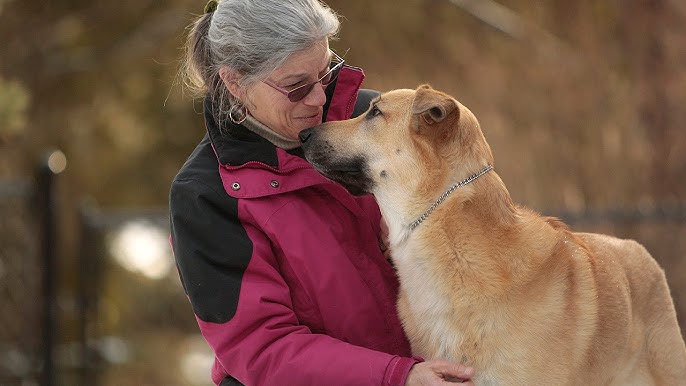 Dog Breed Information and Pictures - storytellingco